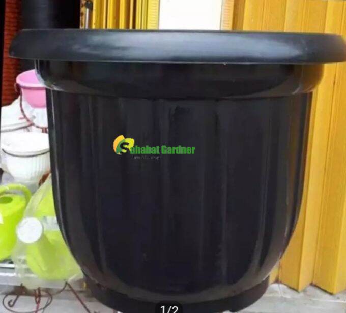 pot besar ukuran 50 cm/pot tanaman Gloria ukuran 50cm | Lazada Indonesia