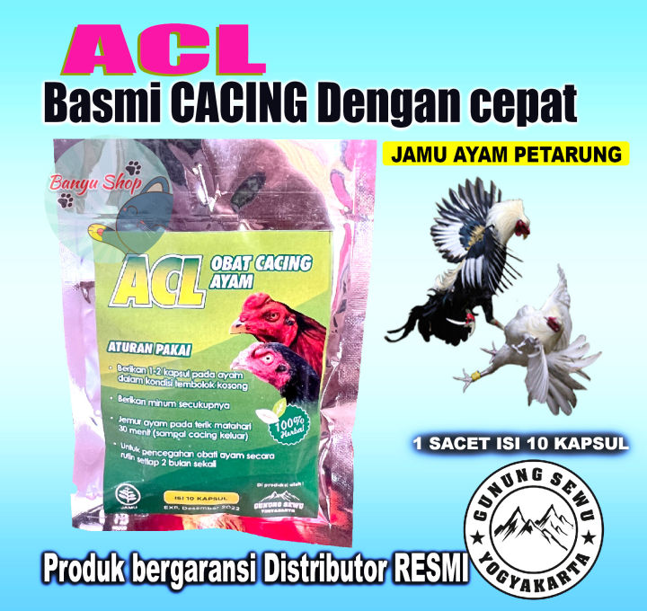 ACL OBAT CACING AYAM-ACL EFEKTIF BASMI CACING HERBAL-ISI 10 KAPSUL ...