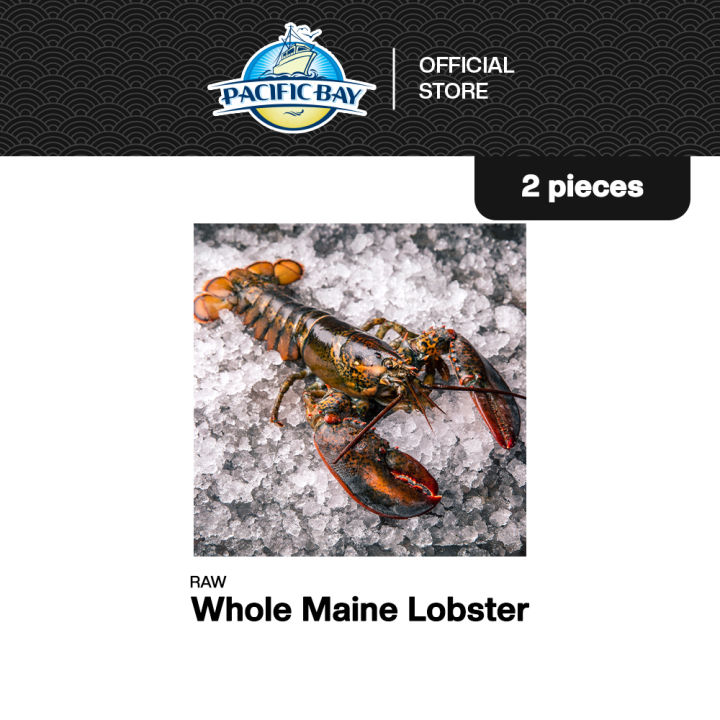 Whole Maine Lobster (Raw) 1 kilo | Lazada PH