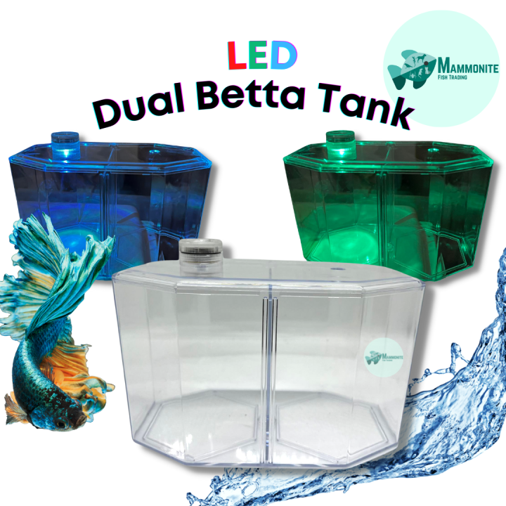 Aquarium Double Betta Fish Tank LED Dual BettaHex Clear | Lazada PH