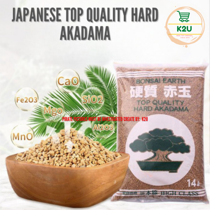 AQUARIUM Japanese Hard Akadama Soil for Bonsai/ Succulent Soil | Lazada