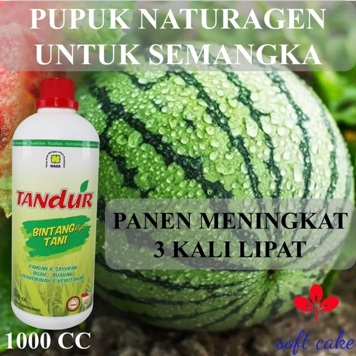 Pupuk Naturagen Untuk Semangka / Naturagen Pupuk Semangka / Naturagen ...
