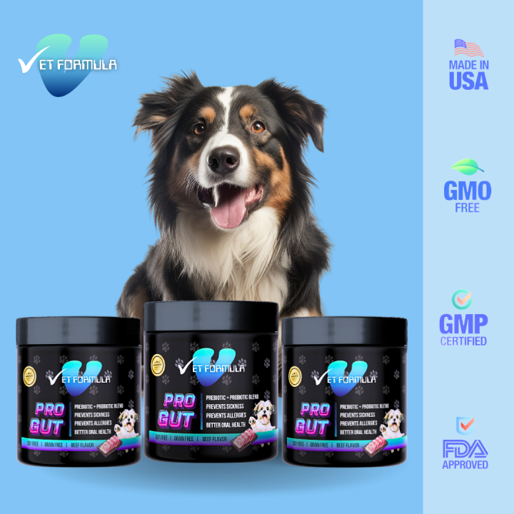 PRO GUT DOG Prebiotic + Probiotic Healthy Treats [Bundle of 3] | Lazada PH