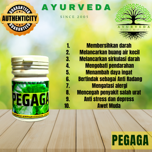 Ayurveda Kapsul DAUN PEGAGA 60BIJI ORIGINAL*labtest approved* | Lazada