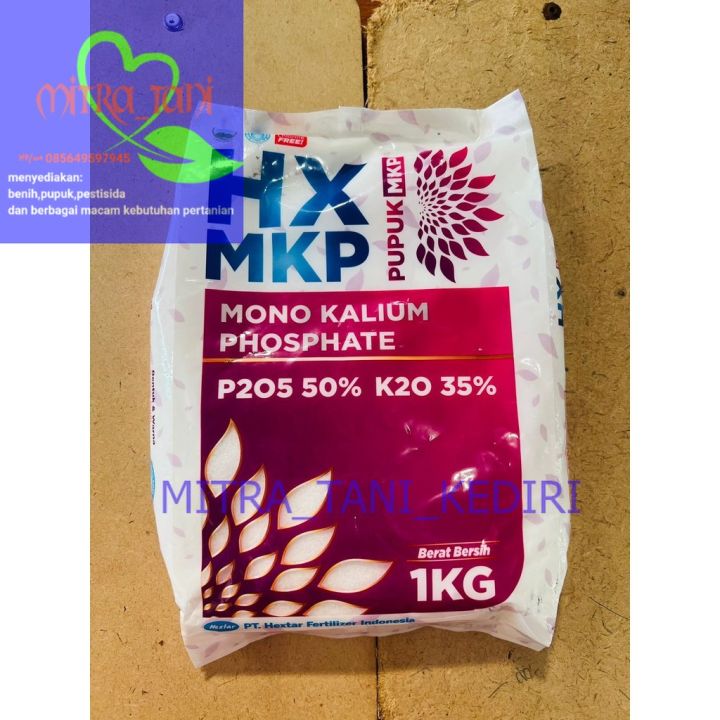 Pupuk nitrat fase generative / fase pembuahan HX MKP isi 1kg dari HEXTAR | Lazada Indonesia