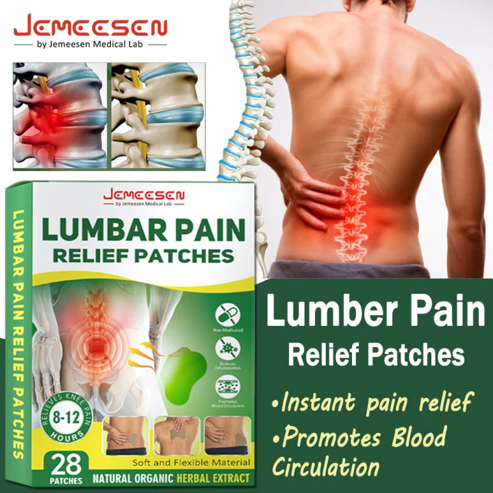 Jemeesen Back Pain Relief Patch Low Back Pain Long-lasting Relief Patch ...