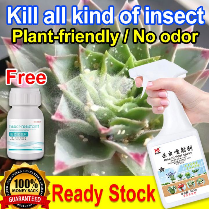 Pesticides for plants 500ml racun serangga tanaman insecticides for ...