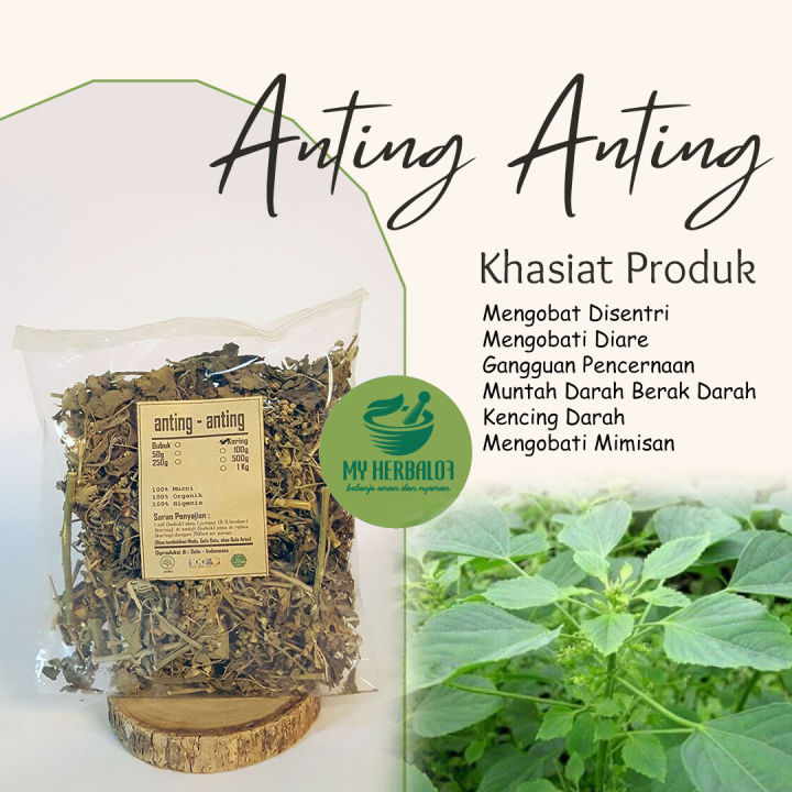 Herbal Asam Trengguli Kering / Cassia fistula | Lazada Indonesia