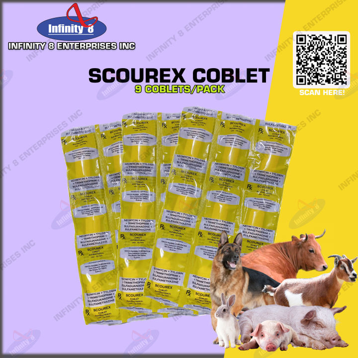 SCOUREX COBLET (9 PIECES) - ANTI-BACTERIAL | Lazada PH