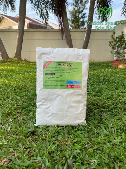 Pro MS (1kg) EM bacteria Powder Type natural immune boosters for ...