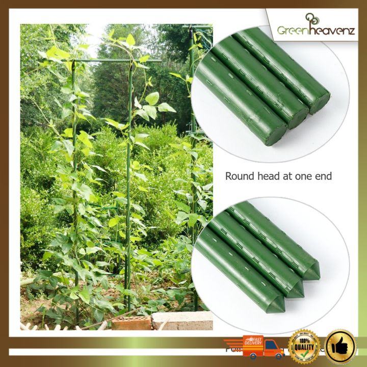 GHZ Garden Plant Support Stick Climbing Plant Support Trellis For Plant ...