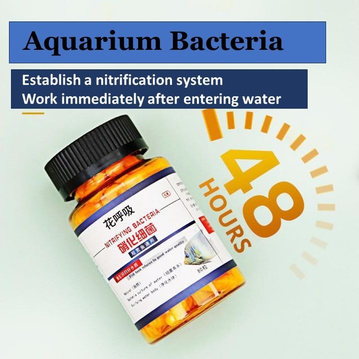 Aquarium Nitrifying bacteria special capsule water purification live ...