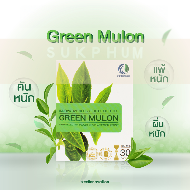 GREEN MULON กรีนมูลอน - เสริมภูมิ สารสกัดจากชาเขียว 1 กล่อง | Lazada.co.th