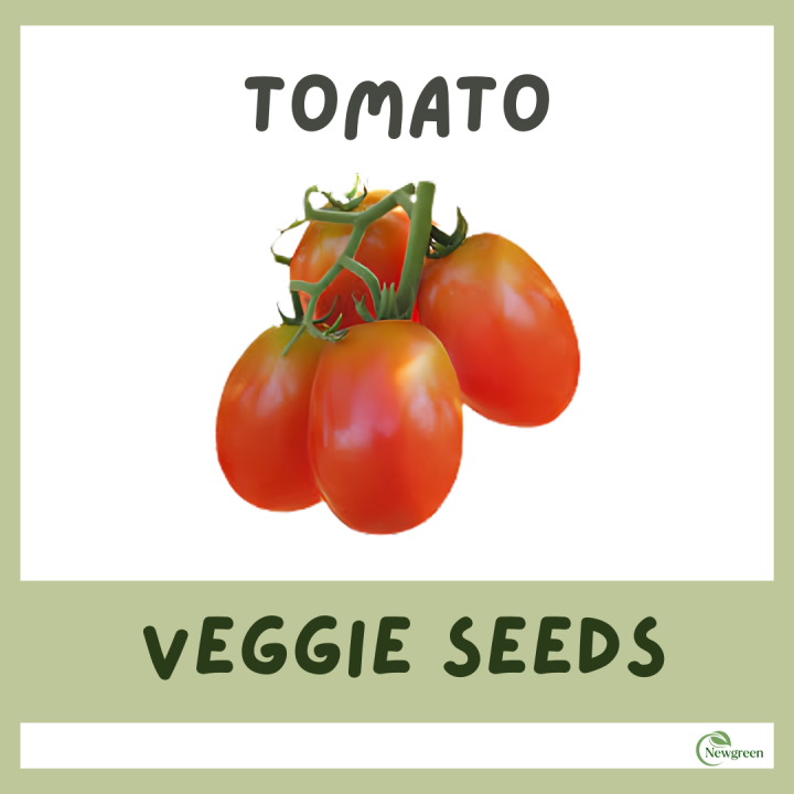 Athena Tomato Seeds Kamatis Seeds Gulay Seeds Vegetable Seeds | Lazada PH