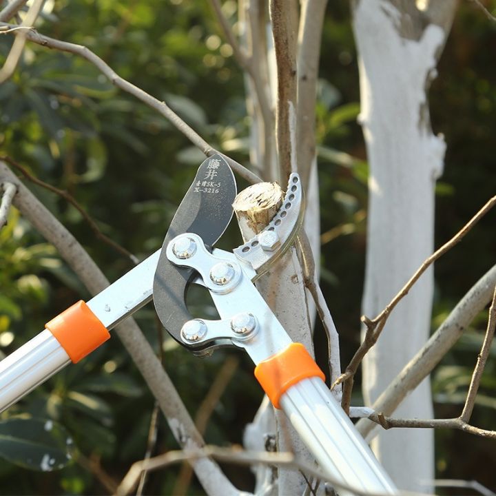 Garden Tree Pruning Shears High Branch Pruning Tool Ratchet Secater ...
