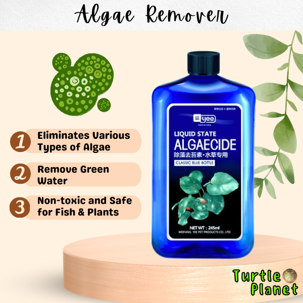 YEE Aquarium Algaecide Aquarium Algae Moss Remover Anti Algae For ...