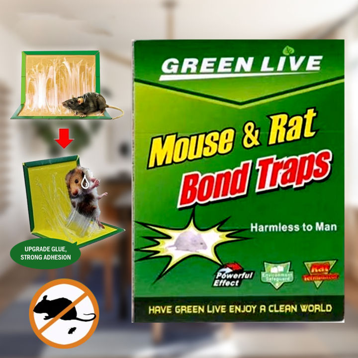 Non-toxic Mouse and Rats Glue Traps Rat Trap Control Killer Pest ...