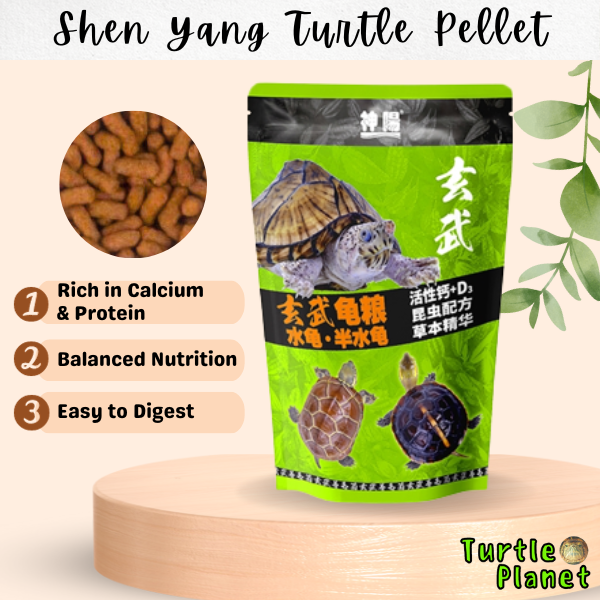 Shen Yang Hikari Floating Sinking Turtle Food Turtle Pellets Makanan ...