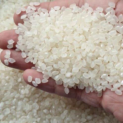 Beras Jepang/sushi japonica rice HAKUMAI 25 KG | Lazada Indonesia