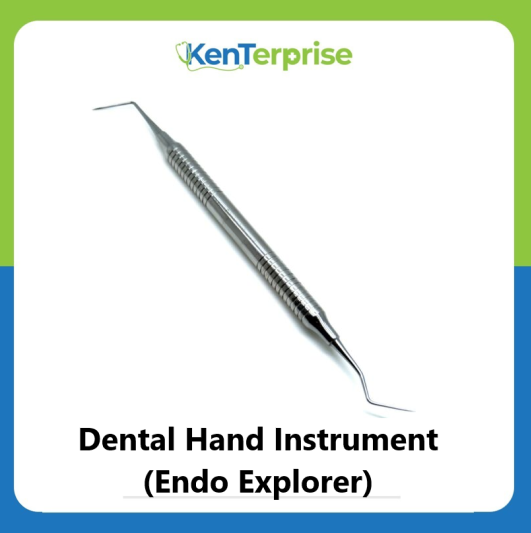 Dental Hand Instrument (Endo Explorer) | Lazada PH