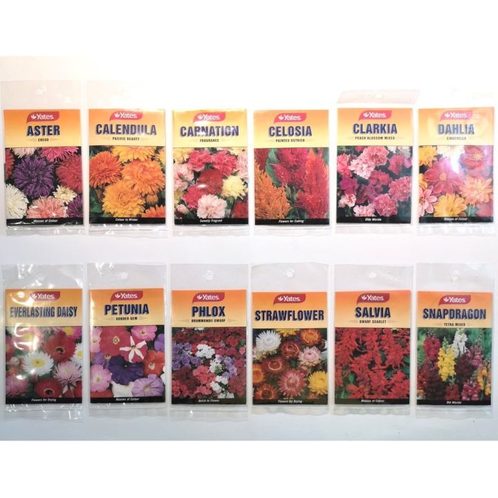 卐 YATES FLOWER SEEDS (Aster Calendula Carnation Celosia Clarkia Dahlia ...