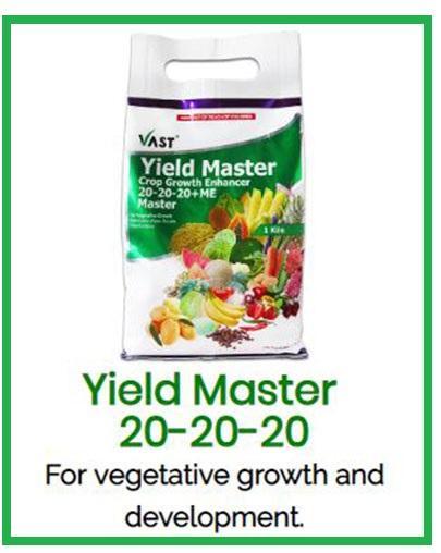 Yield Master 20-20-20 Plant Foliar Plant Fertilizer 1KG | Lazada PH