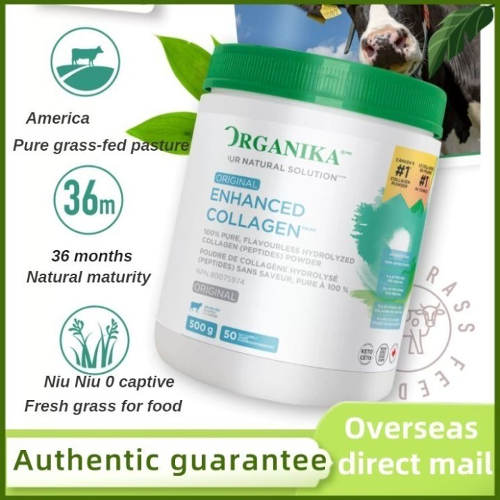 ORGANIKA Hydrolyzed Pure Collagen Peptides 500g - Small Molecule Active ...