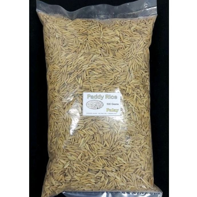Palay Paddy Rice for Birds 500 grams | Lazada PH