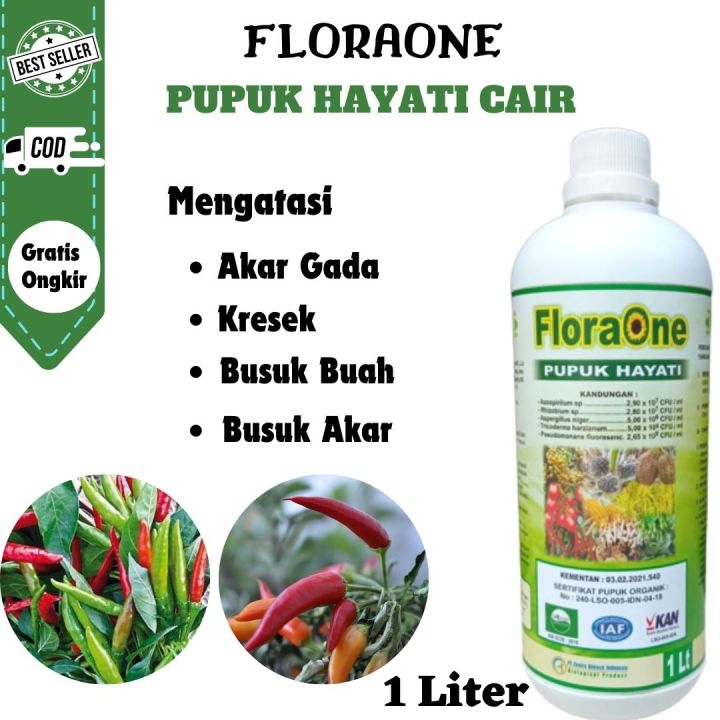 Pupuk Hayati Cair Obat Cabe Patek Obat Cabe Keriting Pupuk Trichoderma ...