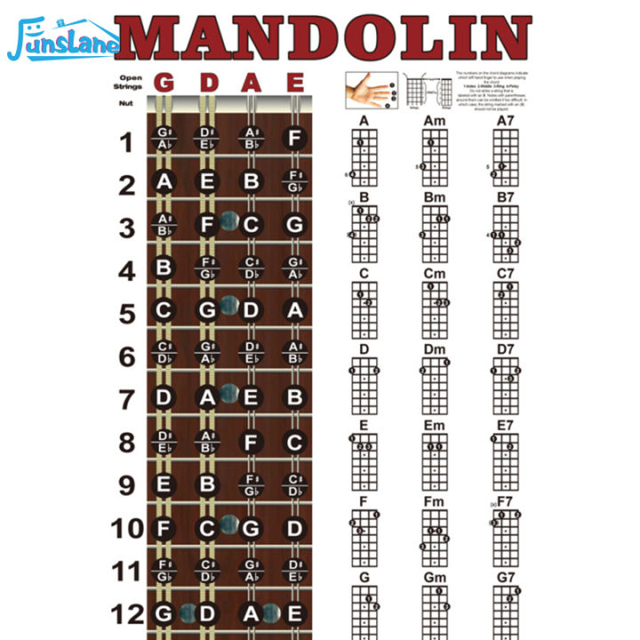 FunsLane Mandolin Fretboard Notes Chart Finger Placement Chords Theory ...