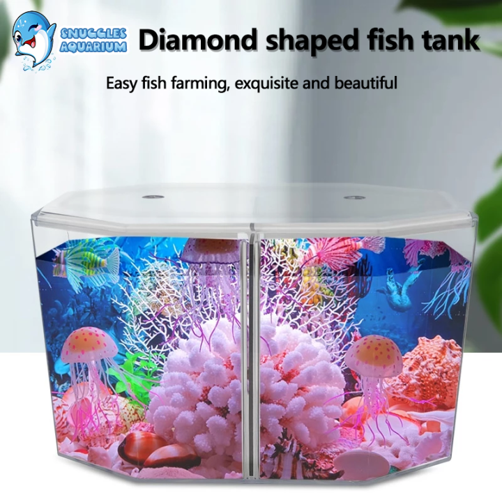 Aquarium Double Betta Fish Tank Dual BettaHex Clear | Lazada PH