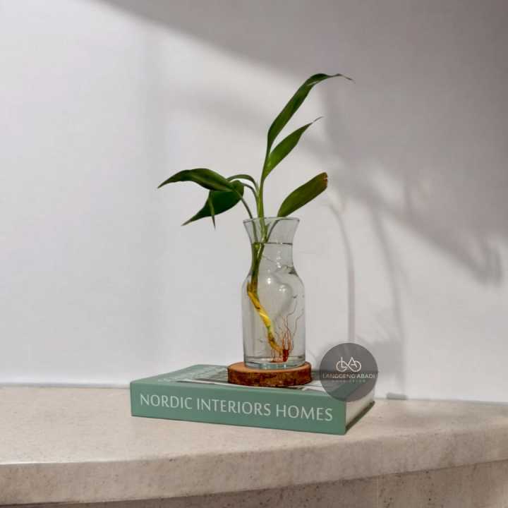 Vas Bunga Tanaman Kaca Karafe | Vas Kaca Estetik | Vas Kaca Carafe ...