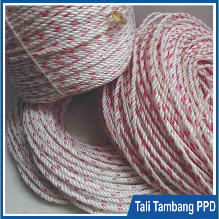 [10 METER] TALI TAMBANG PPD 4 5 6 MM / TALI IKAT SERBAGUNA BAHAN ...