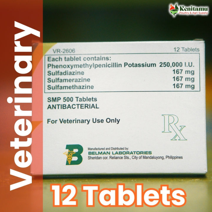 SMP 500 ANTIBACTERIAL (1 BOX 12 TABLETS) | Lazada PH