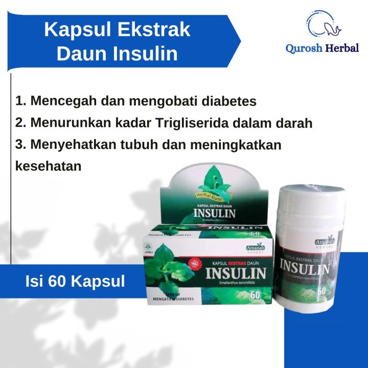 Kapsul Ekstrak Daun Insulin Amanah Obat Diabetes | obat diabetes ...
