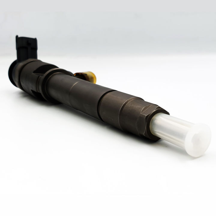 Bosch Diesel Injector 0445110249 for Ford Everest, Ford Ranger and ...