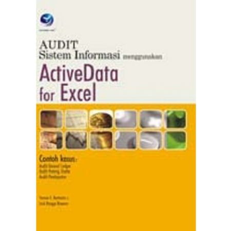 Buku Audit Sistem Informasi Menggunakan Active Data For Excel | Lazada Indonesia