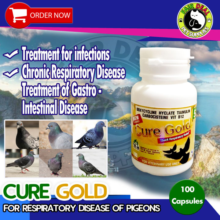 CURE GOLD for racing pigeons (100 capsules) | Lazada PH