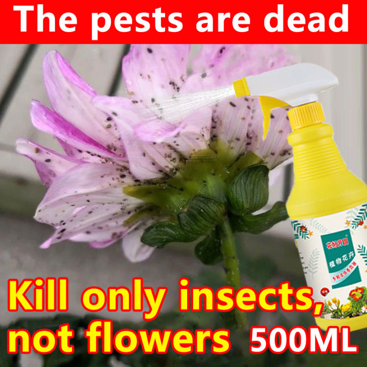 🌻All the pests are dead🐛Plant insecticide spray No harm to plants Bug ...