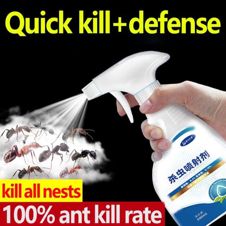 insecticide spray 500ml pesticides for plants Ant spray bed bug killer spray Dust Mite and Flea ...