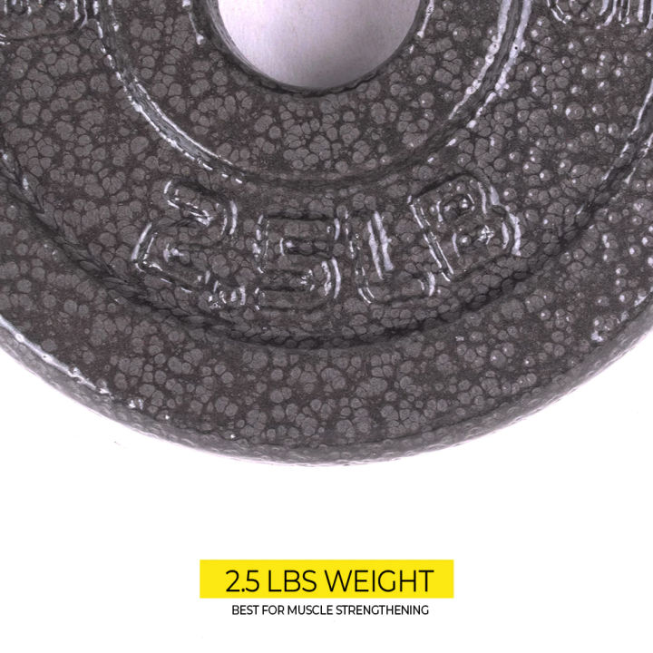 Elite Fitness Cast Iron Weight Plates – Standard 10 lb & 15 lb Plates ...