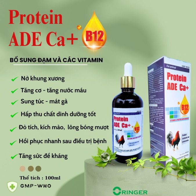 1 chai 100ml PROTEIN ADE Ca+B12 cung cấp vitamin, khoáng chất, Protein ...
