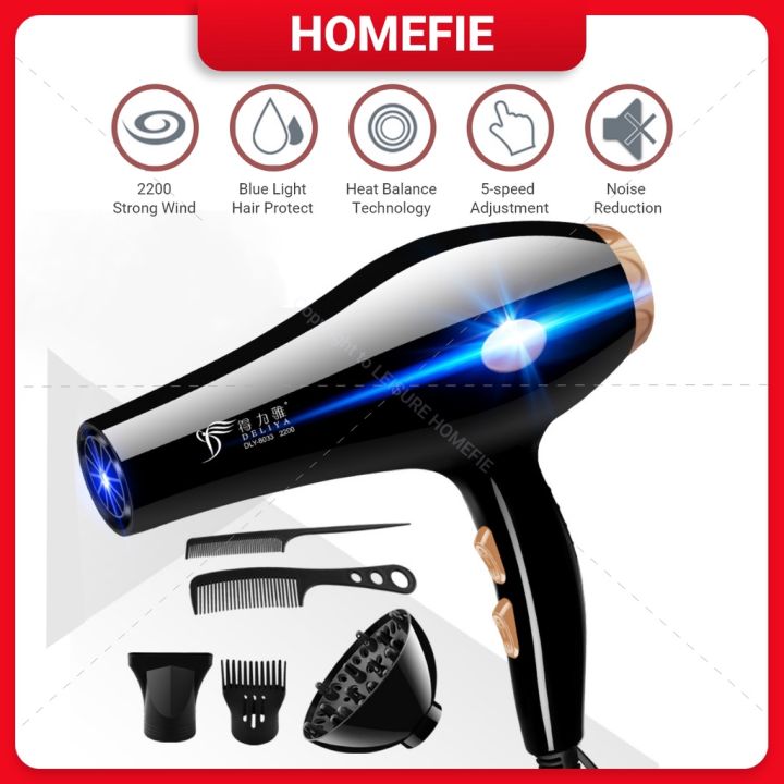 DLY-8033 Deliya Professional Anion Blue-Ray Light Hair Dryer 2200W ...