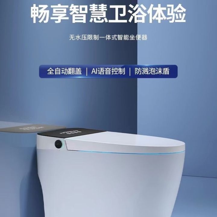 Electric WC Toilet Bowl Set Smart Toilet Bowl 180-550 Pit Distance ...