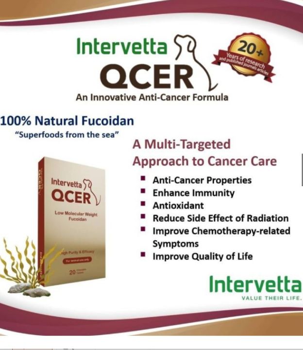 Qcer 20 เม็ด อาหารเสริมสุนัข | Lazada.co.th