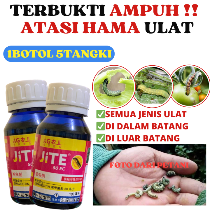 jITE INSEKTISIDA Pembasmi Ulat Ampuh Atasi Semua Jenis Ulat dan Telur ...