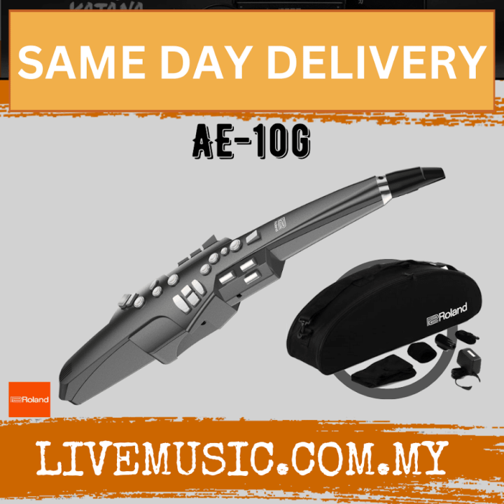 Roland AE-10G Aerophone Digital Wind Instrument Graphite ( AE10 / AE-10 ...