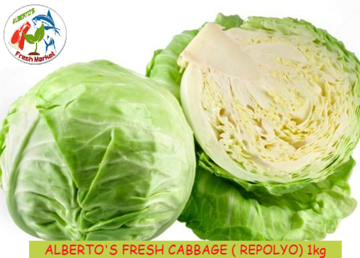 FRESH CABBAGE ( REPOLYO) 1/2 kg | Lazada PH