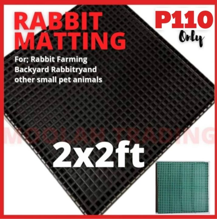 Moolah88 2x2ft Durable Plastic Rabbit Matting (P110 Only) | Lazada PH