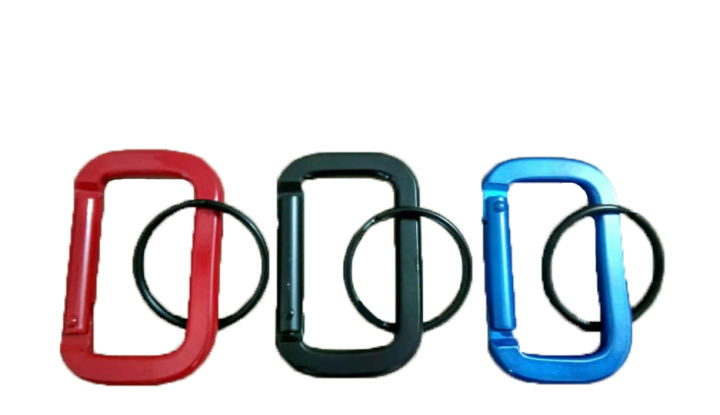 Carabiner Climbing Hook With keychain (50 PCS. PER PACK) | Lazada PH